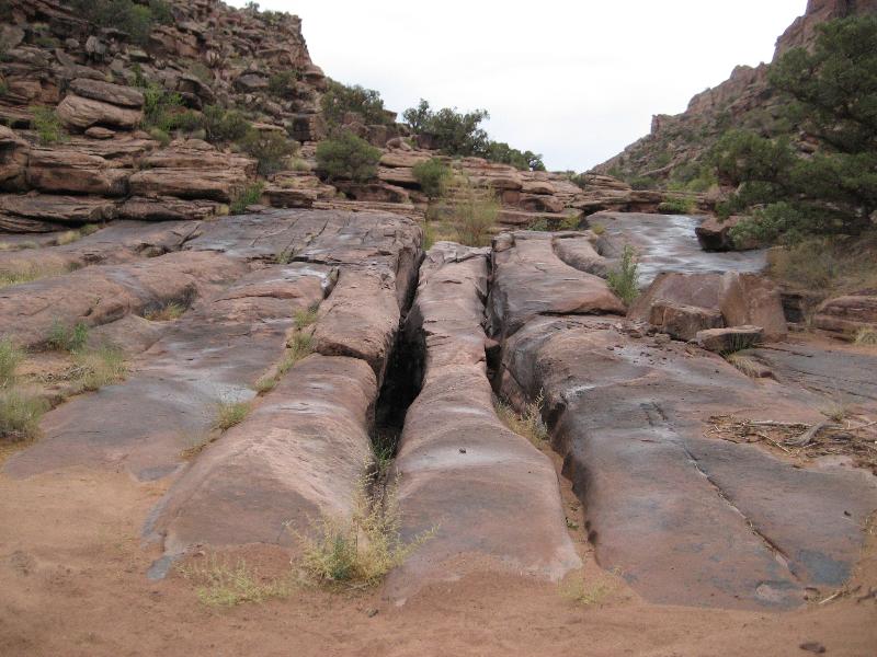 HomePage of Marc Bryson's Jeep excursions